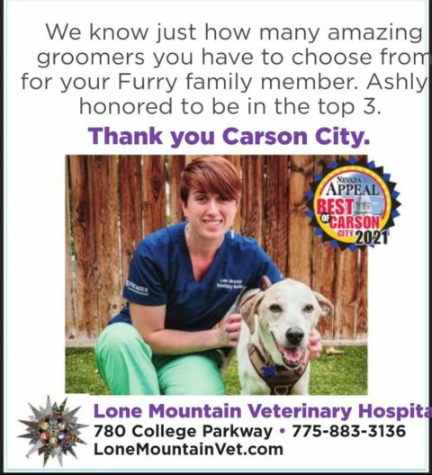 Carson City Boarding and Grooming - Lone Mountain Veterinary Hospital
